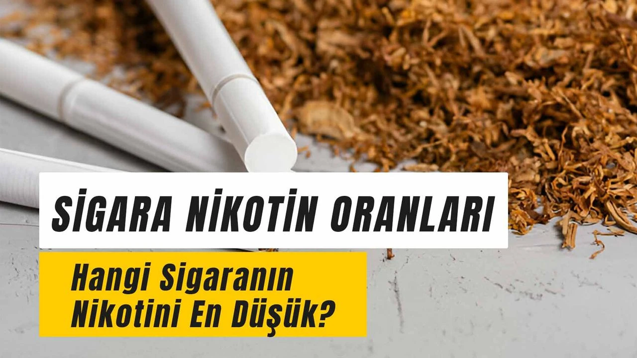Sigara Nikotin Oranları 2024: Nikotini En Yüksek ve En Az Olan Sigara ...